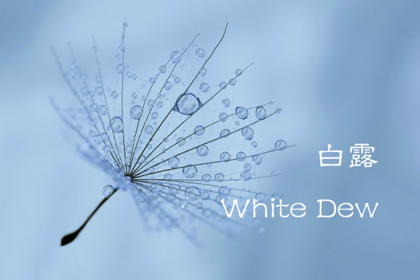 24 Solar Terms: 8 things you may not know about White Dew