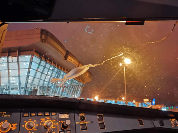 Cracked cockpit window forces passenger jet to land in SW China