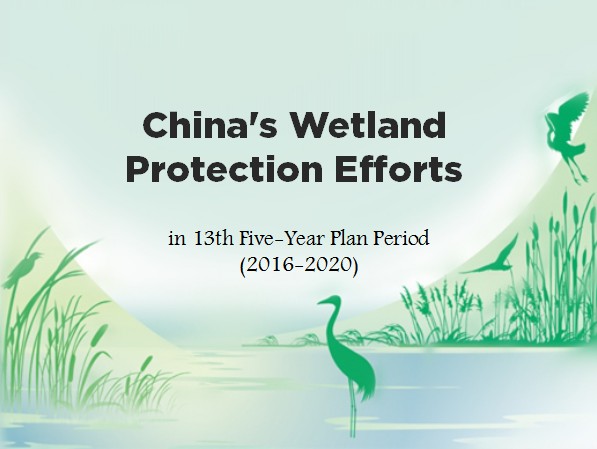 China’s wetland protection achievements over the past five years