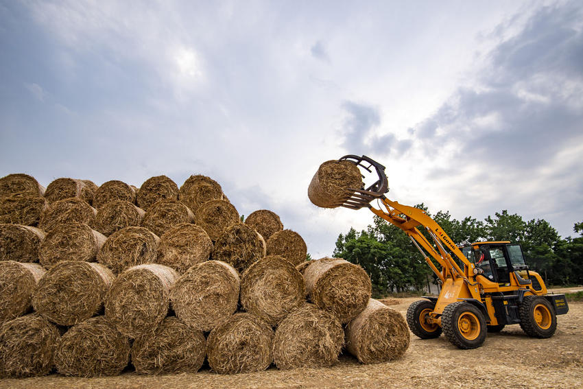 Wheat straw recycling converts waste into organic treasure