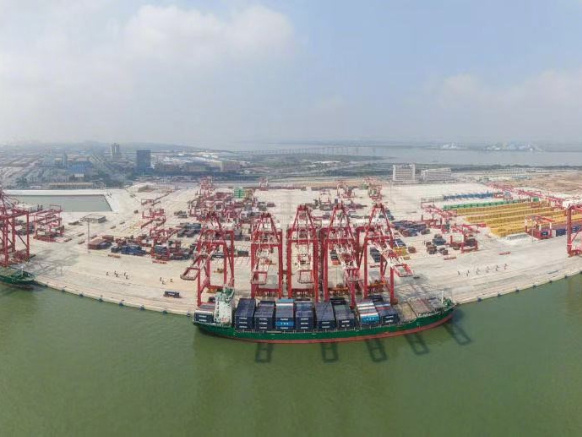 Greater Bay Area's first automated dock put into use