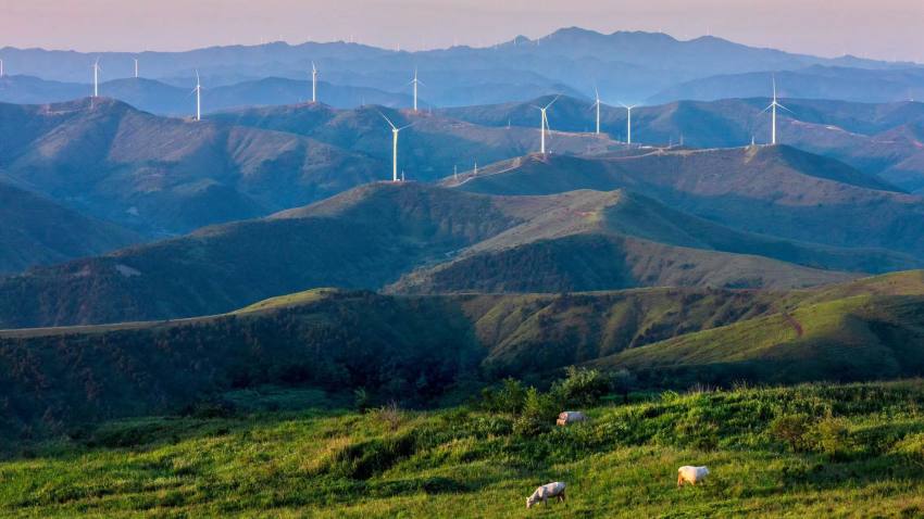 China's progress toward goals of carbon peak, carbon neutralization ...