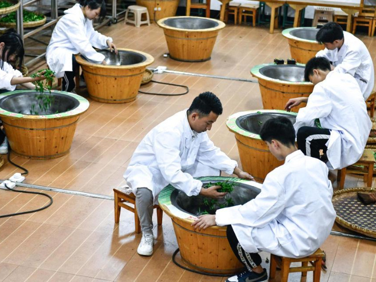 China's traditional tea-making enters UNESCO cultural heritage list