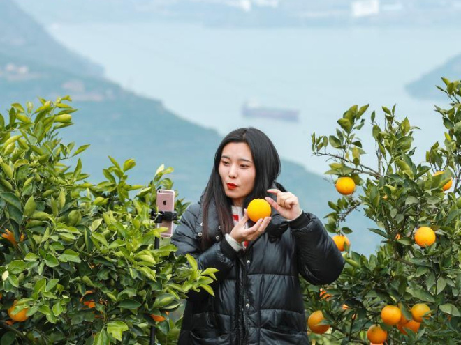 Female live-streamers boost China's rural revitalization