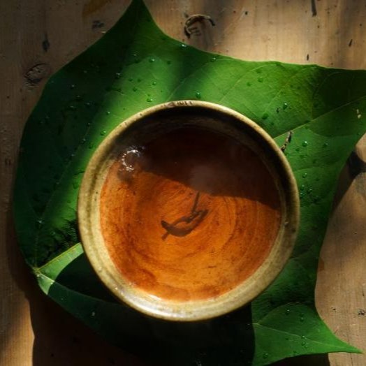 A close look at Cultural Landscape of Old Tea Forests of Jingmai Mountain