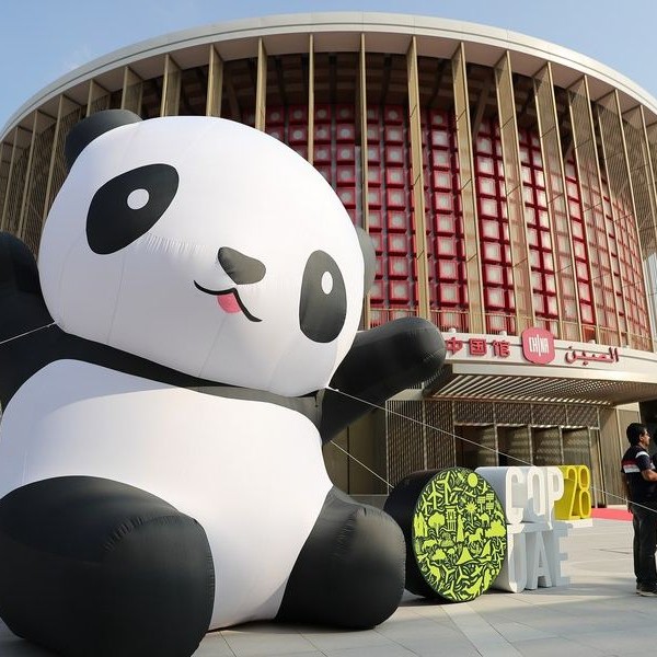 COP28 offers next direction for global climate action: China's delegate