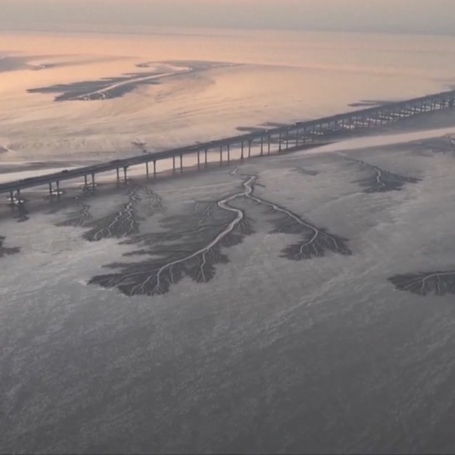 Tree-shaped patterns appear on frozen Qiantang River
