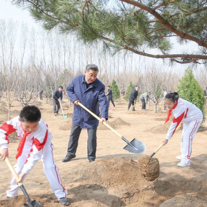 Photo album of Xi Jinping's tree planting moments