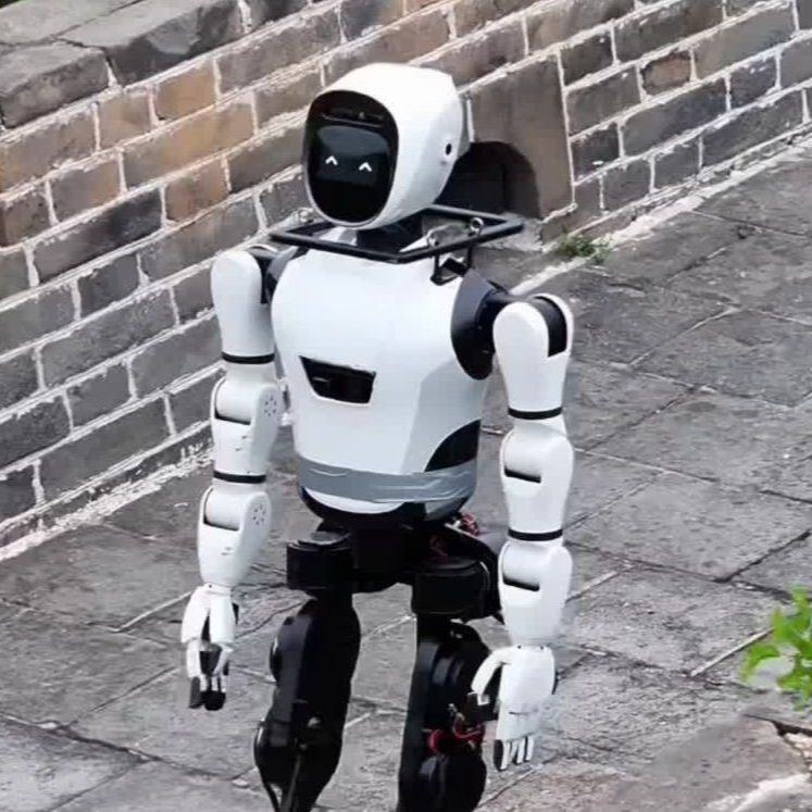 Robot explores the Great Wall