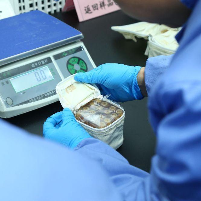 Shenzhou-18 mission returns samples for extraterrestrial habitation ...