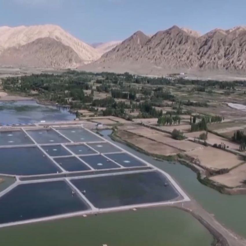 NW China's Xinjiang offers fresh seafood from the heart of desert