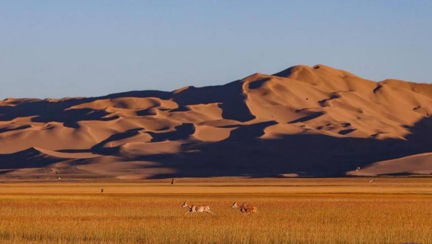 Altun Mountains National Nature Reserve in Xinjiang