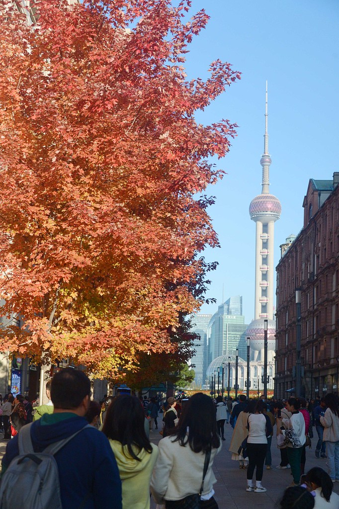 Autumn splendor in Shanghai