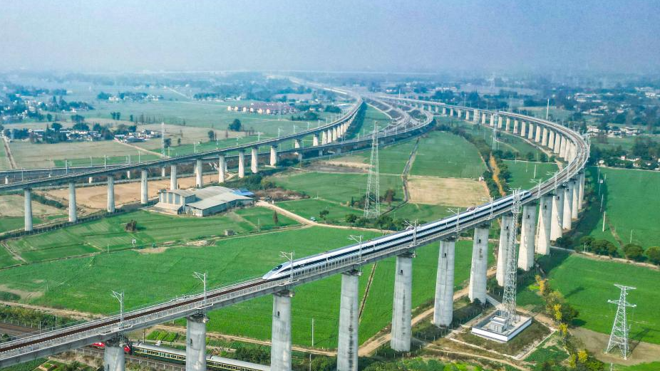 Sichuan-Qinghai Railway's new section goes the extra mile for pandas