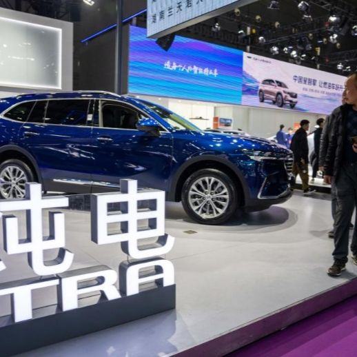 What goals China's provincial-level governments set for 2024