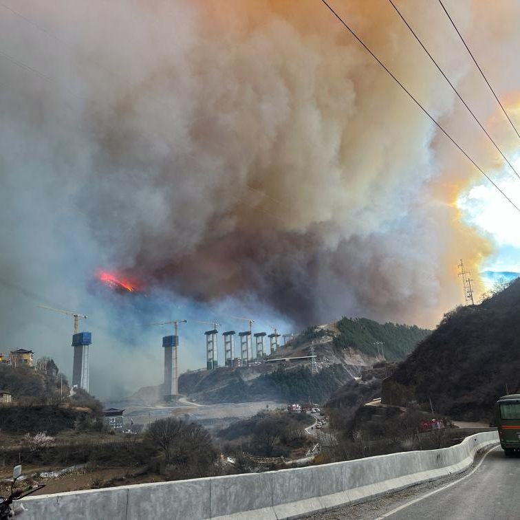 Forest fire breaks out in China's Sichuan, no casualties reported
