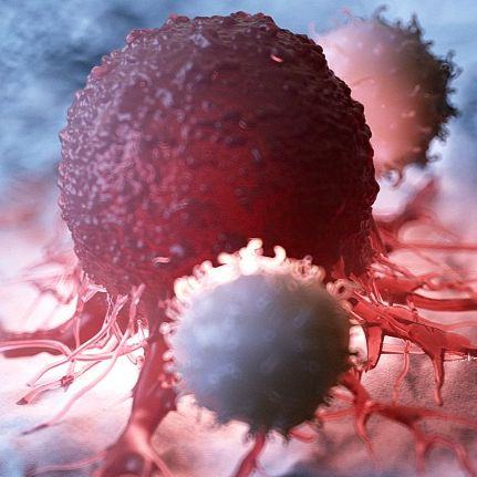 Chinese researchers use freeze-drying technology for tumor treatment