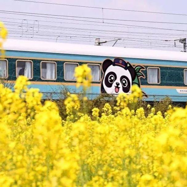 All aboard! Panda-themed train departs Chengdu