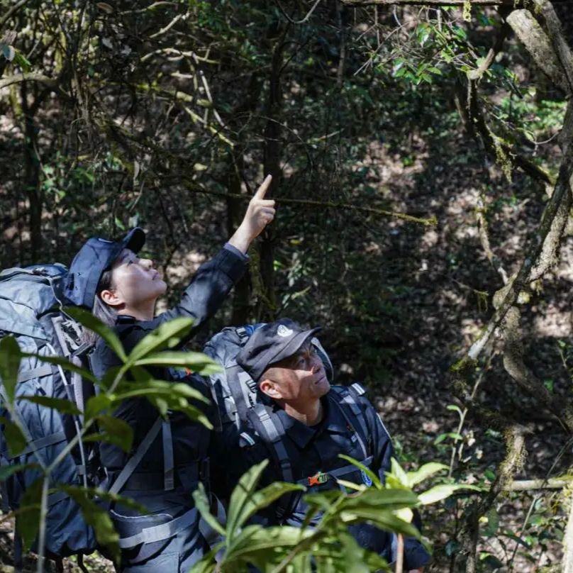 Forest police station in SW China ensures safety of migratory birds