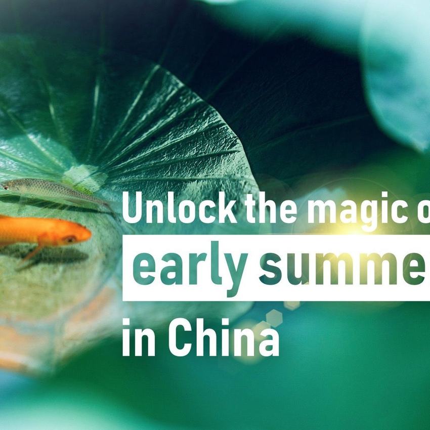 Unlock the magic of early summer in China