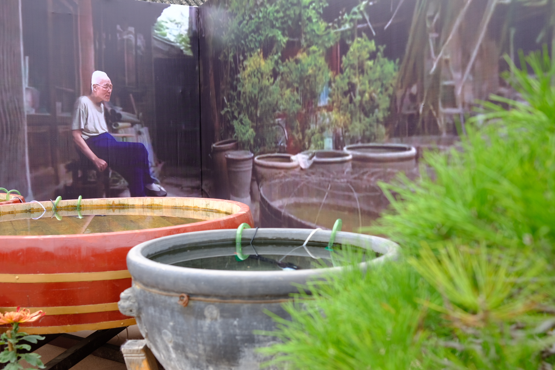 Chinese goldfish swim their way to world cultural heritage