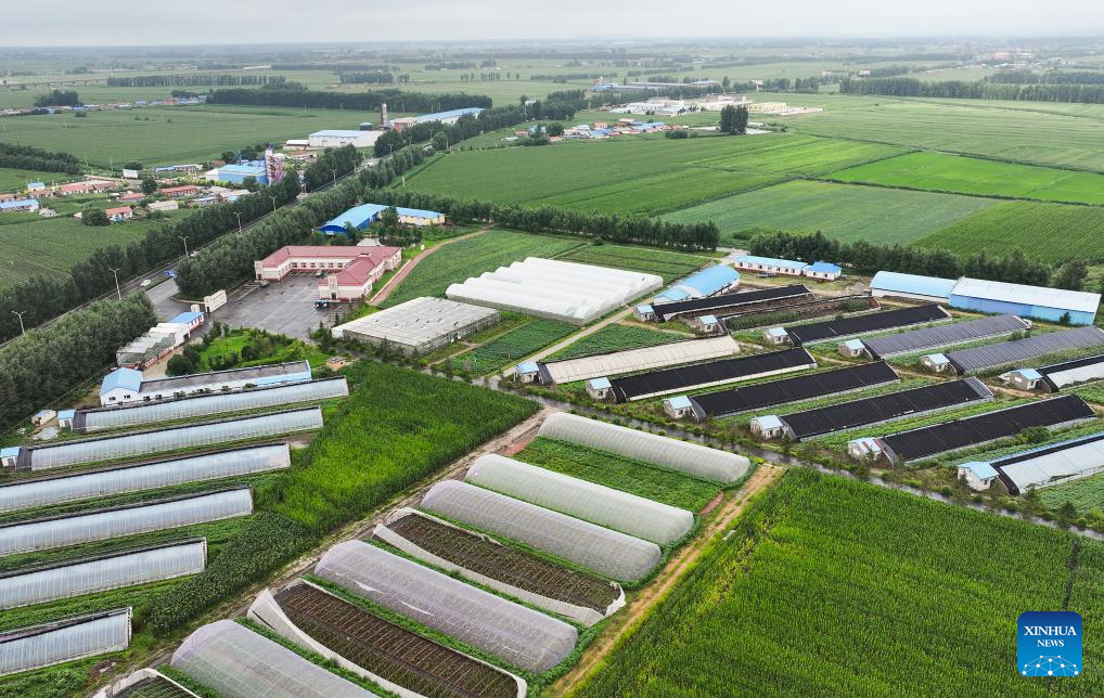 Rise of China's agricultural green development index proof of eco ...
