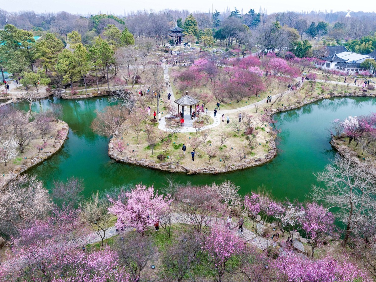 Spring Scenery Across China