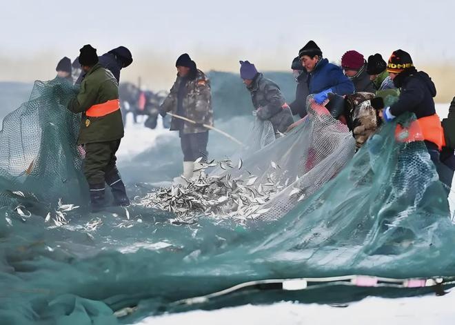 NW China's Xinjiang offers fresh seafood from the heart of desert