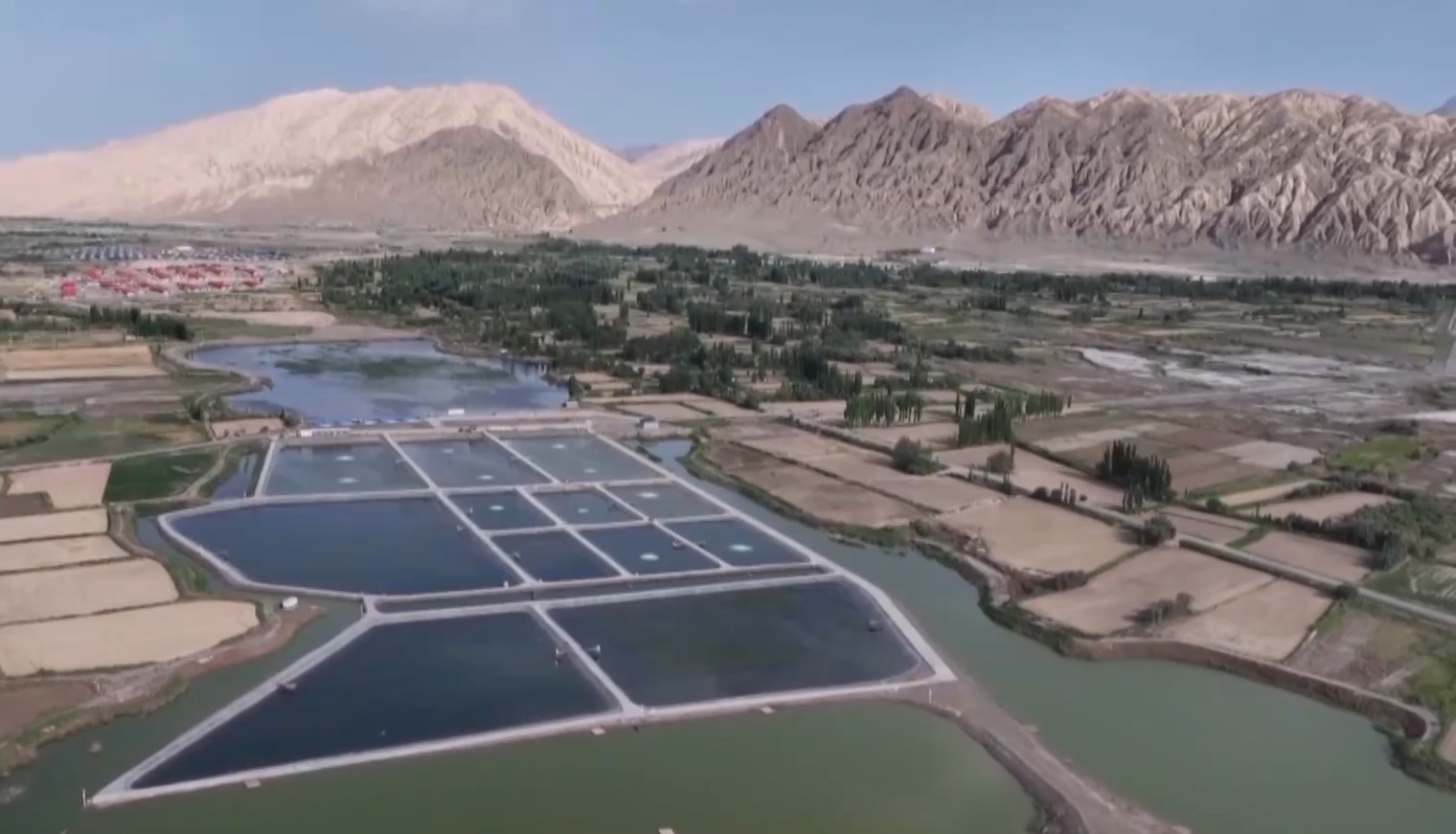NW China's Xinjiang offers fresh seafood from the heart of desert