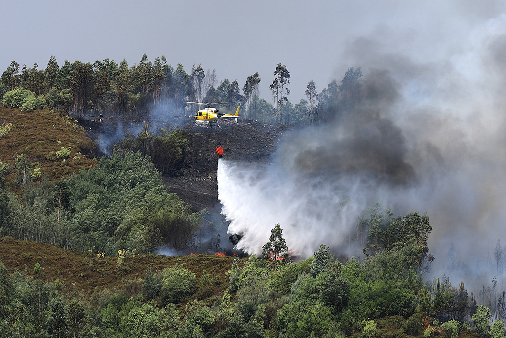 Wildfires burn nearly 75,000 hectares in Portugal this year