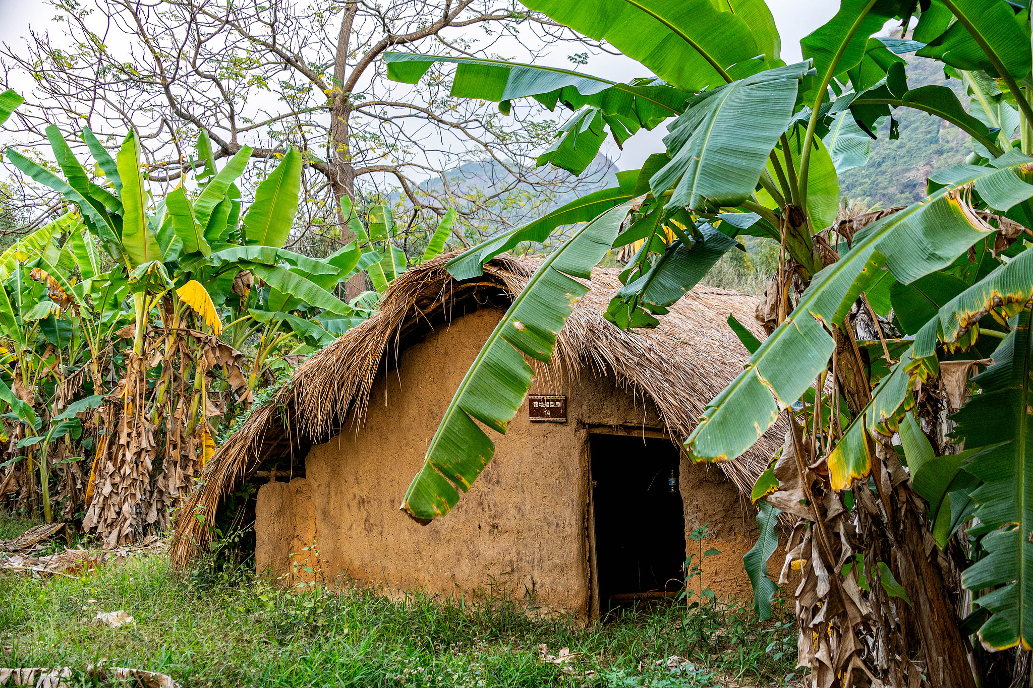 Tourism-driven growth accelerates rural revitalization in Hainan